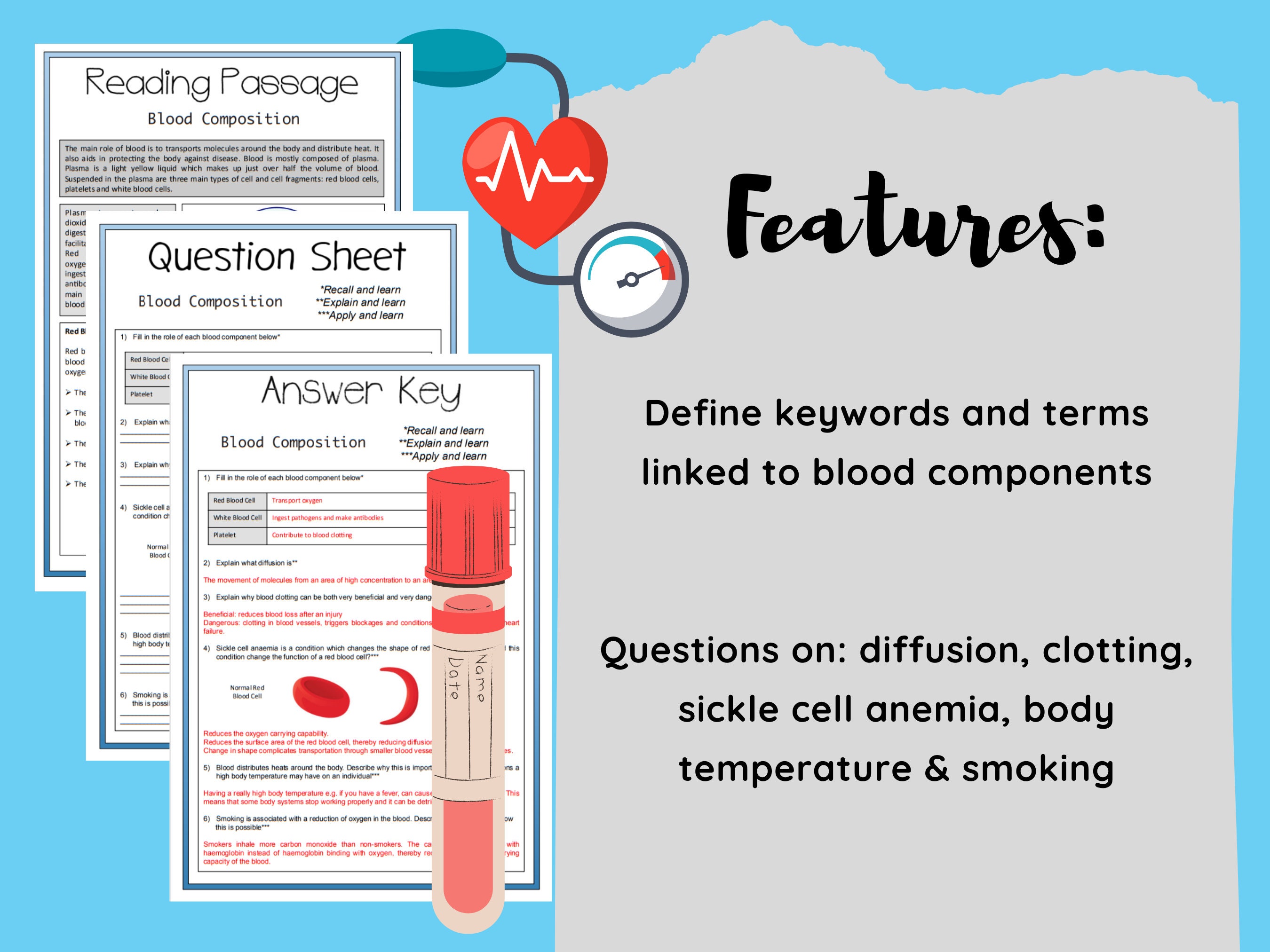 Blood Composition GCSE Biology Worksheet Revision Science - Etsy