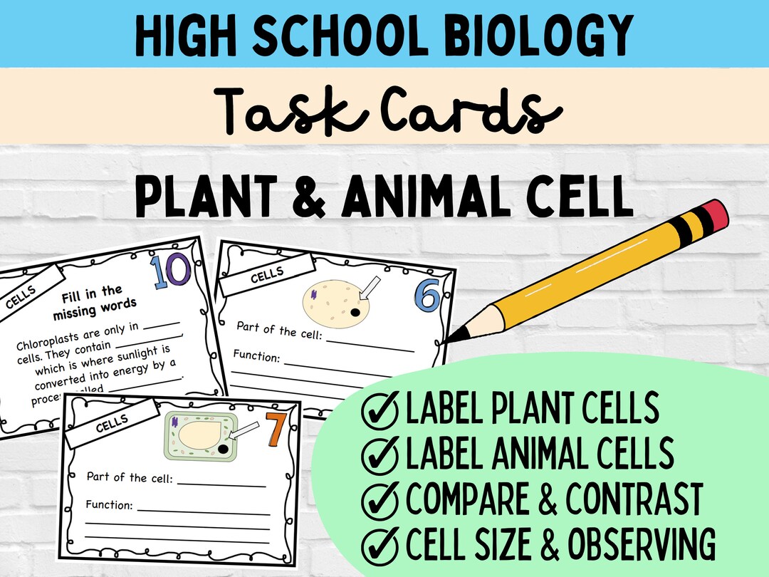 Plant and Animal Cell Task Cards GCSE Biology Revision Resource - Etsy