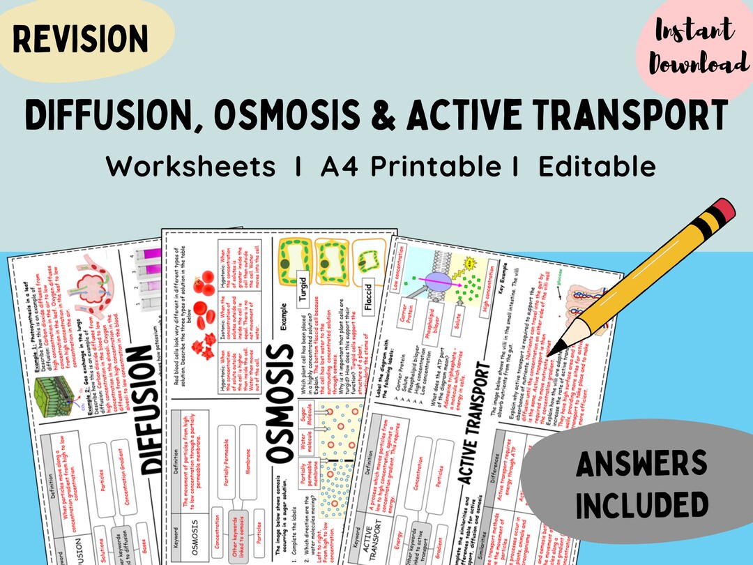 Diffusion, Osmosis and Active Transport Revision GCSE Biology Physics ...