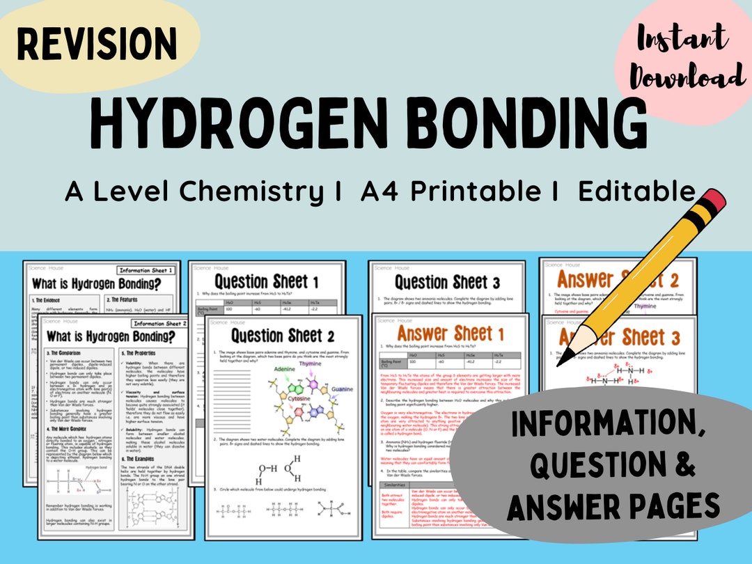 Hydrogen Bonding Chemistry A Level Revision Worksheets - Etsy
