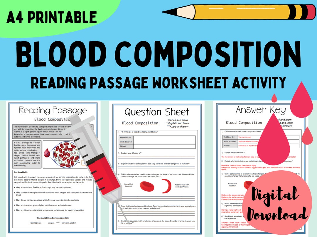 Blood Composition GCSE Biology Worksheet Revision Science - Etsy
