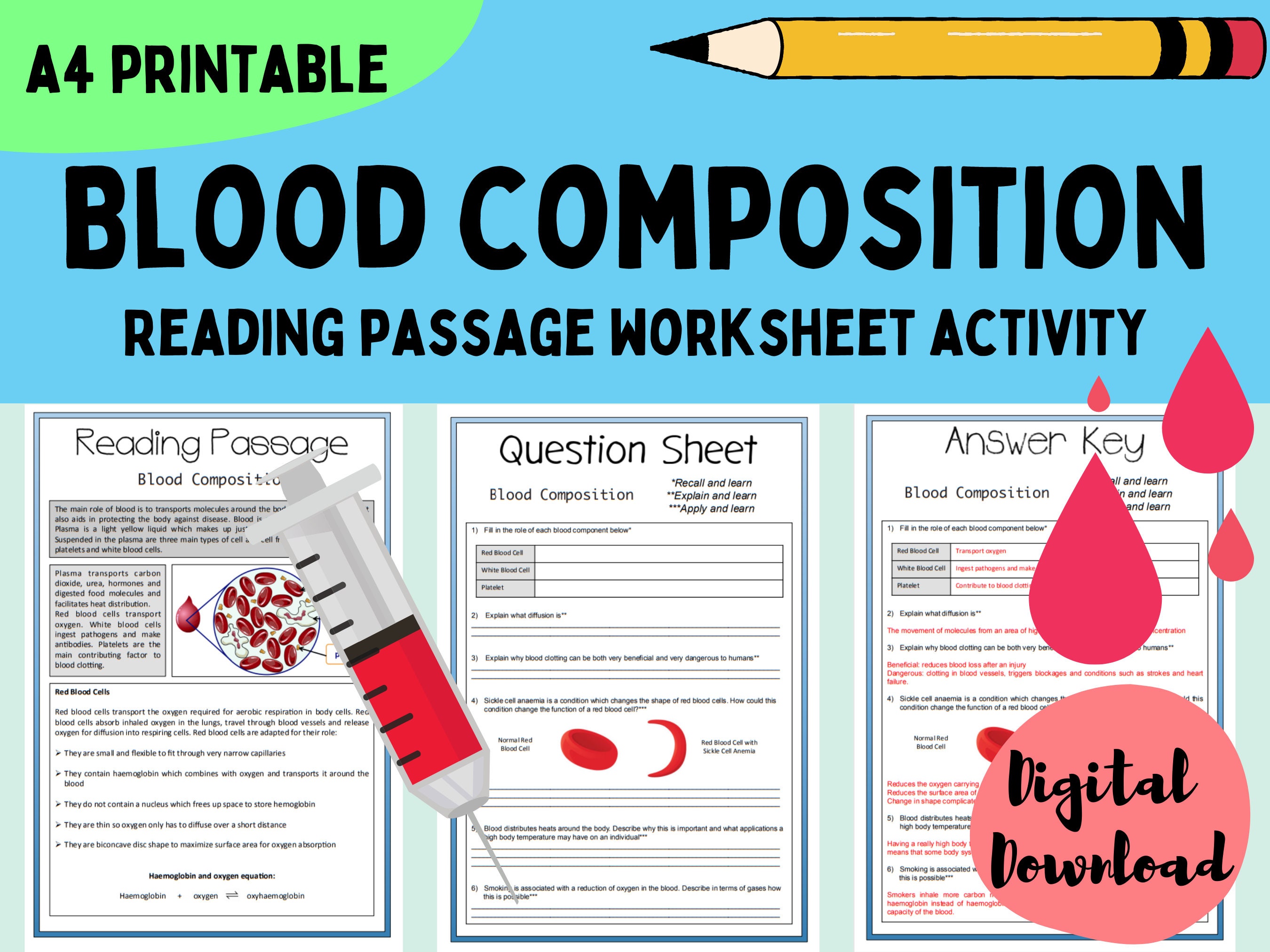 Blood Composition GCSE Biology Worksheet Revision Science - Etsy