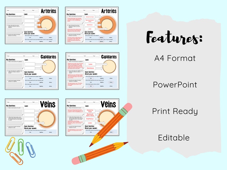 Blood Vessels GCSE Biology Revision Science Learning Teaching Lesson ...