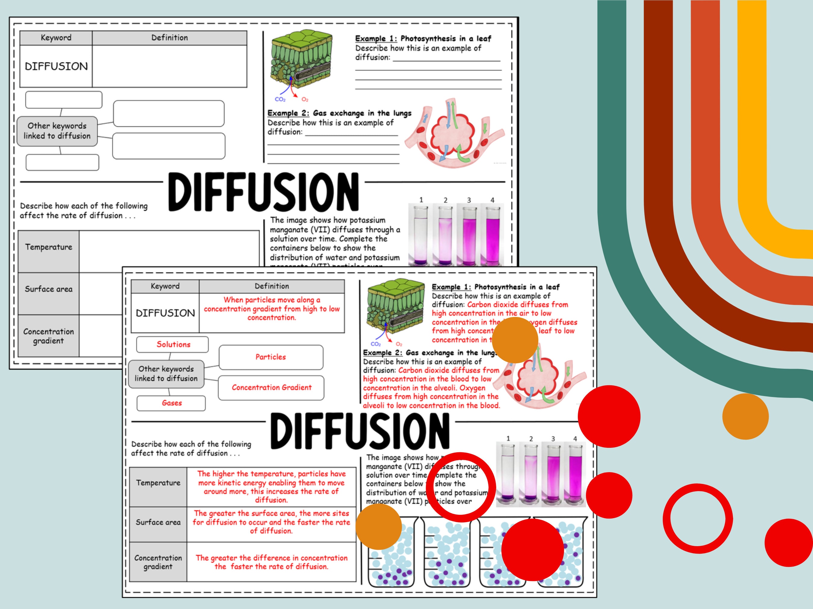 Diffusion, Osmosis and Active Transport Revision GCSE Biology Physics ...