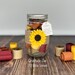 Identity in Christ Jar/52 Bible - Etsy
