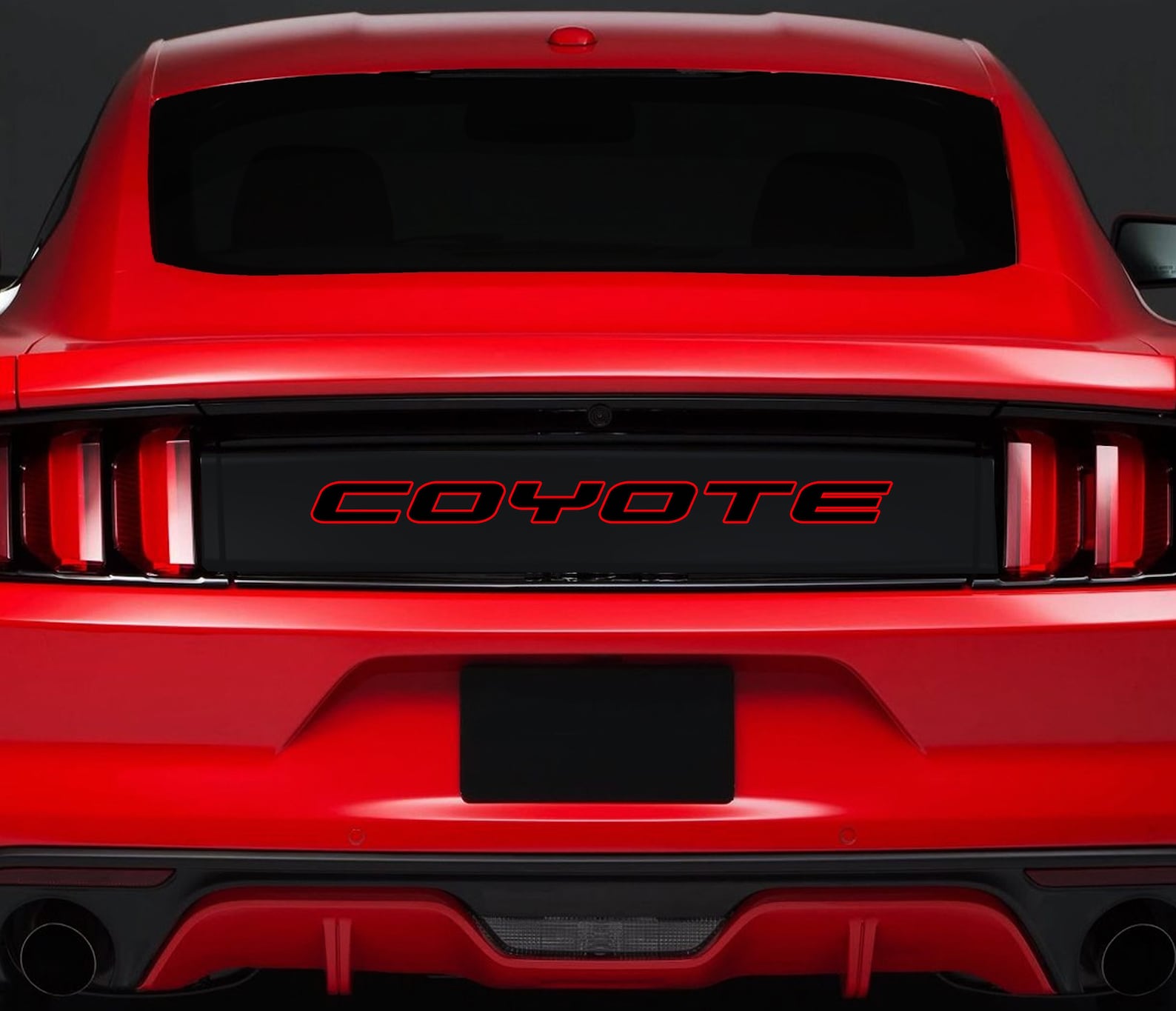 Coyote Decklid Decal Fits Mustang Gt 5.0 - Etsy