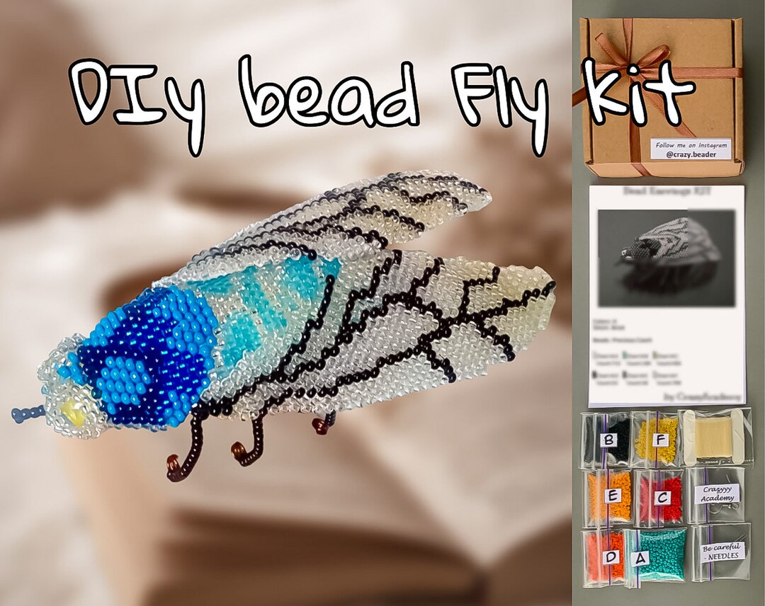 DIY Bead Brick Stitch Brooch Kit, DIY Beadwork Kit, Craft Fly Bug ...