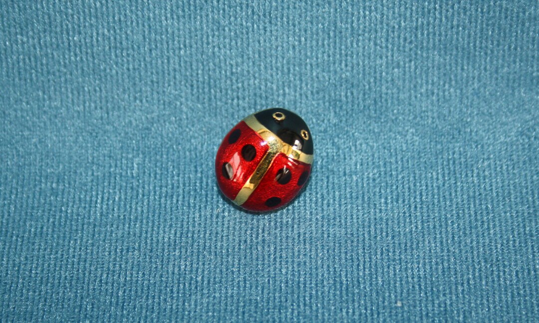 Sweet Little Enameled Ladybug Tac Pin by Carolee Friedlander, Ladybugs ...