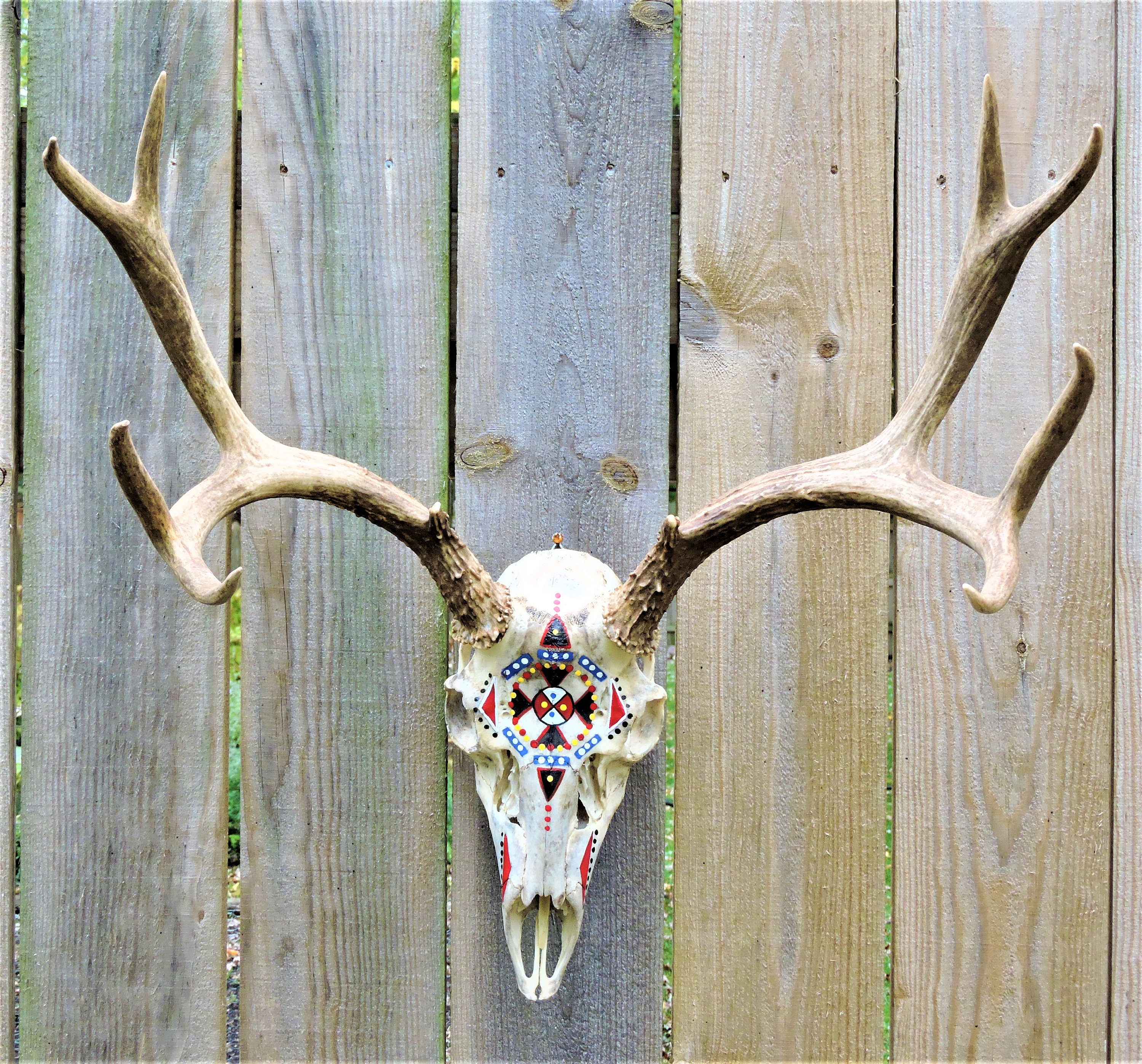 Cool European Deer Mounts