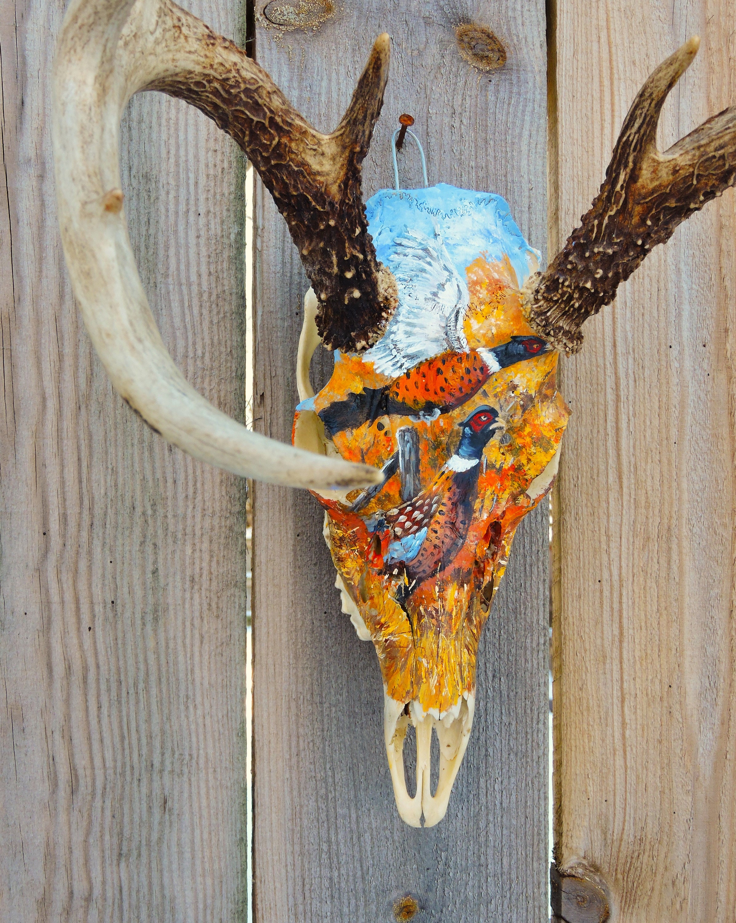 Whitetail Deer European Mount (authentic) With Hand Painted Pheasants ...