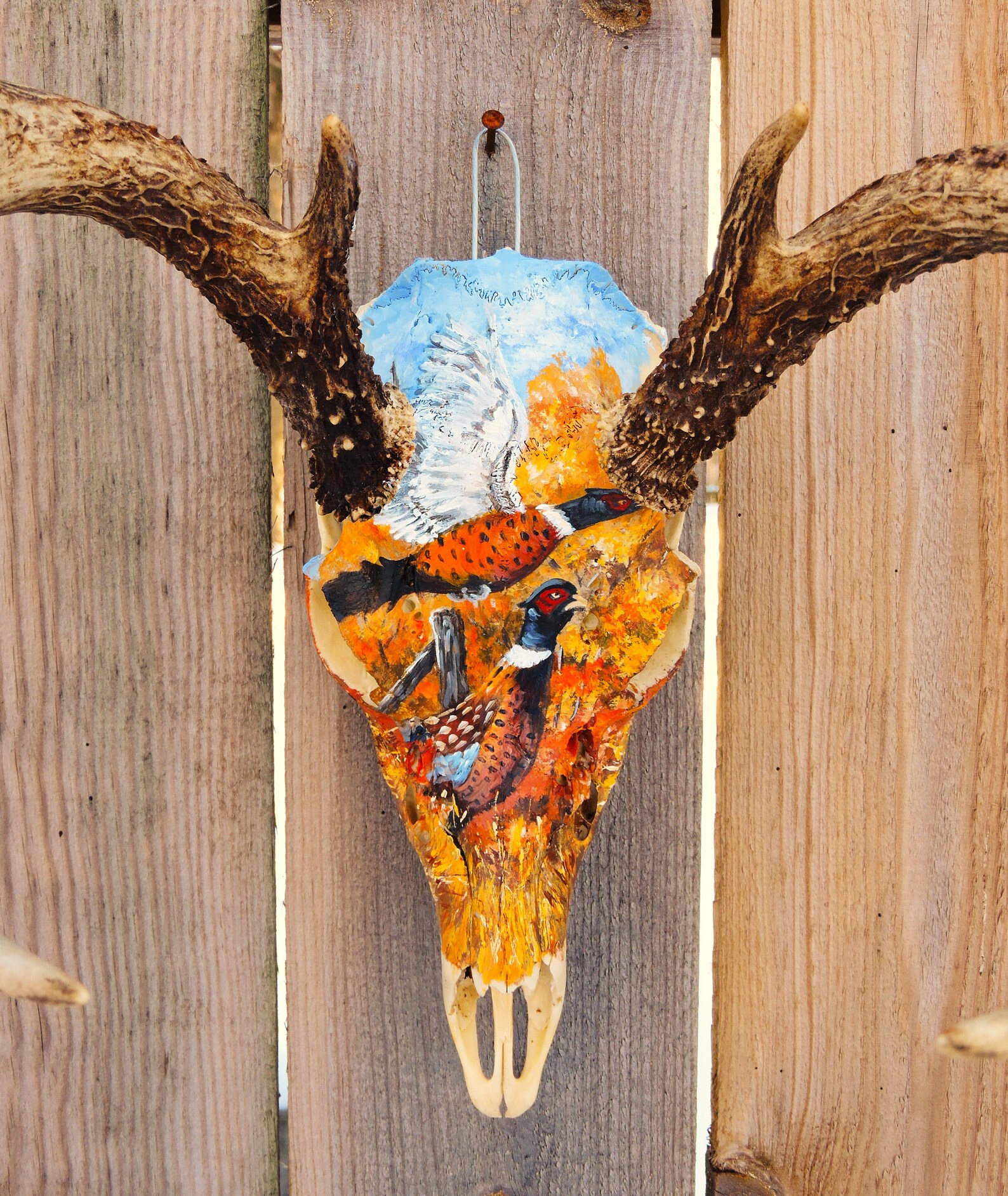 Whitetail Deer European Mount (authentic) With Hand Painted Pheasants ...