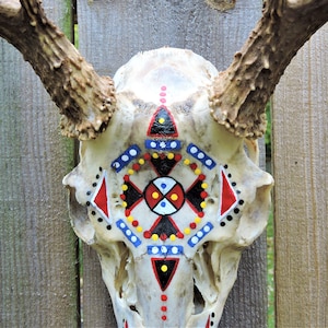 Mule Deer (authentic) European Mount With Hand Painted Design - Etsy
