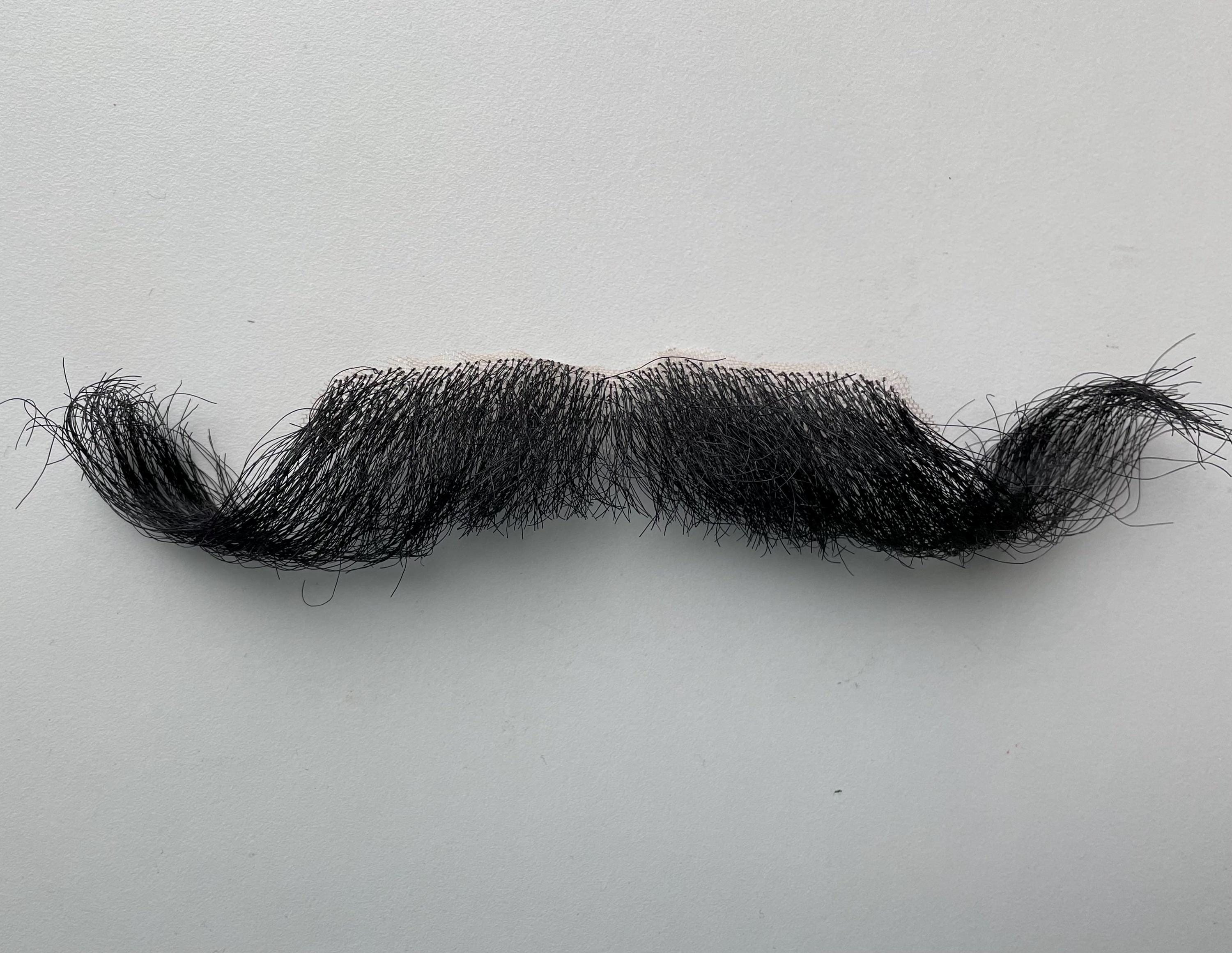 Realistic Black Mustache, Fake Mustache, Natural Buffalo Hair ...