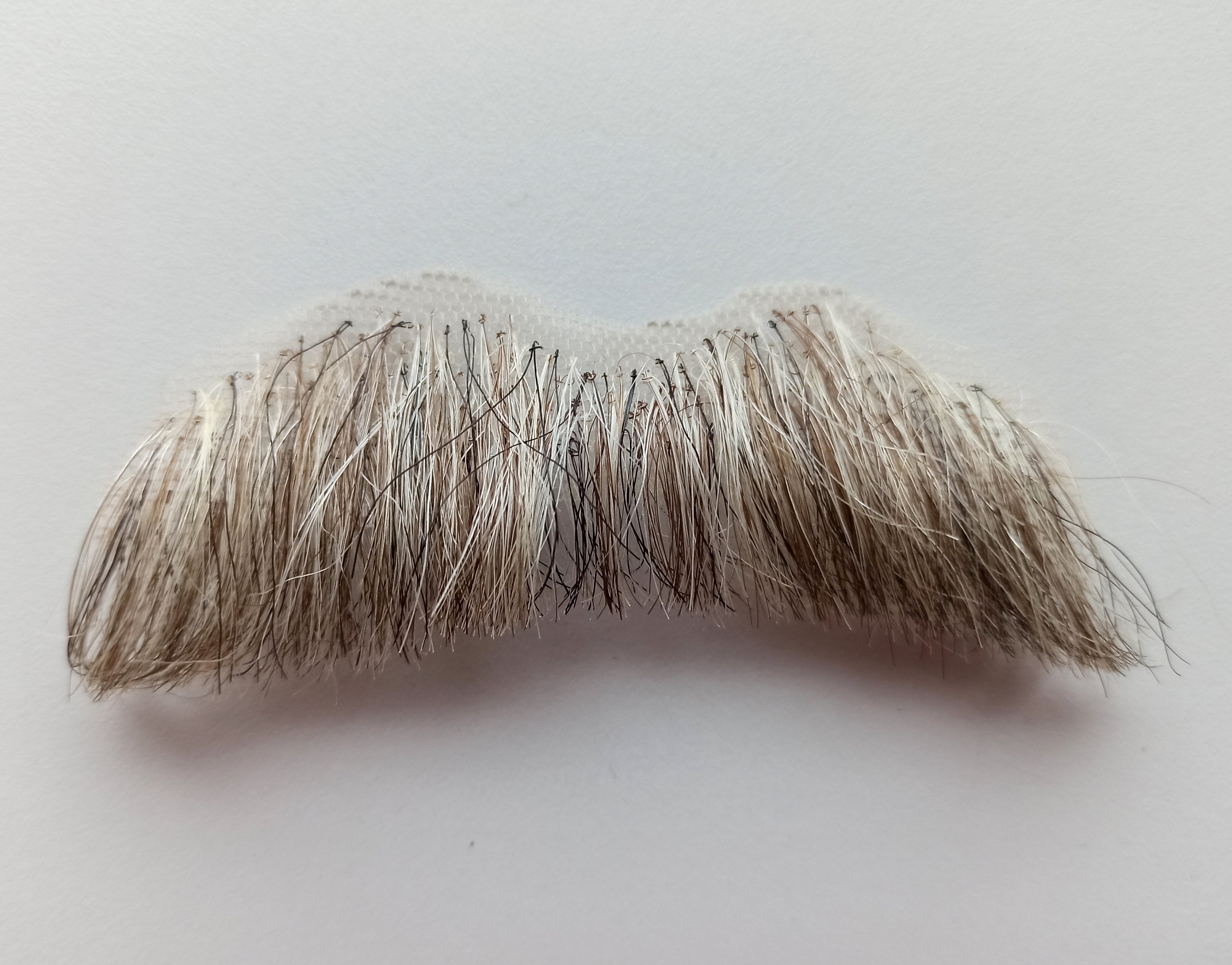 Fake Gray Realistic Mustache, Facial Hair, Natural Hair Einstein ...