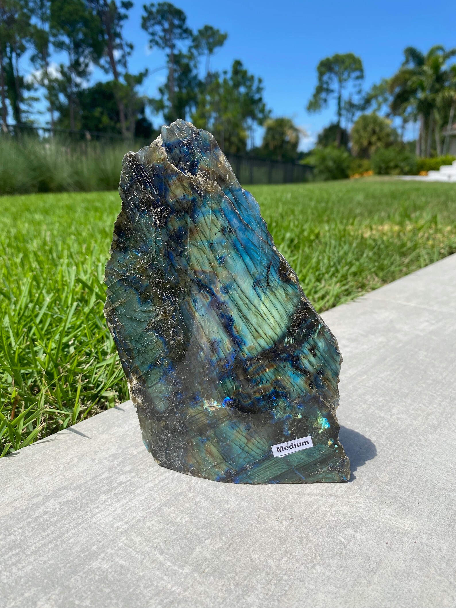 7.5 Semi-Polished High Grade Flashy Sunset Labradorite | Etsy