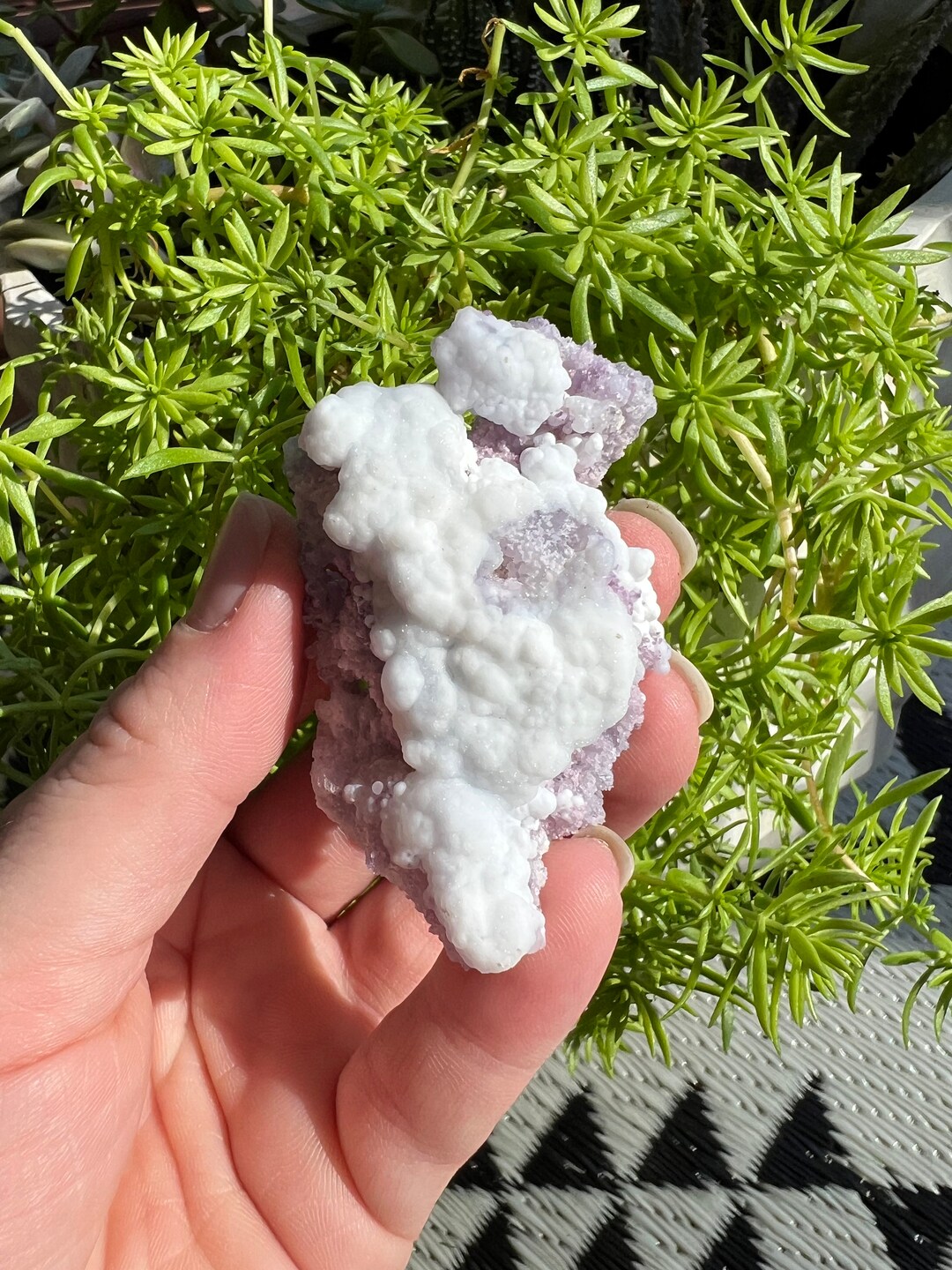 Rare Spirit Flower Geodes With Quartz, Fluorite and Chalcedony From San ...