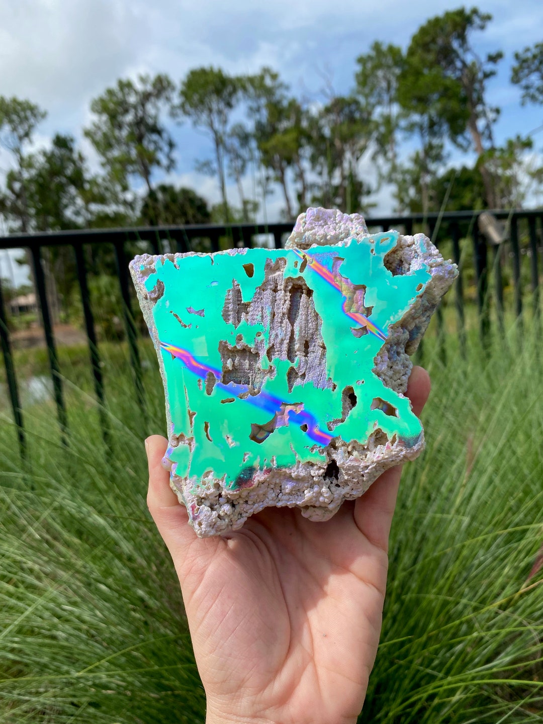 Angel Aura Agatized Fossil Coral - Etsy