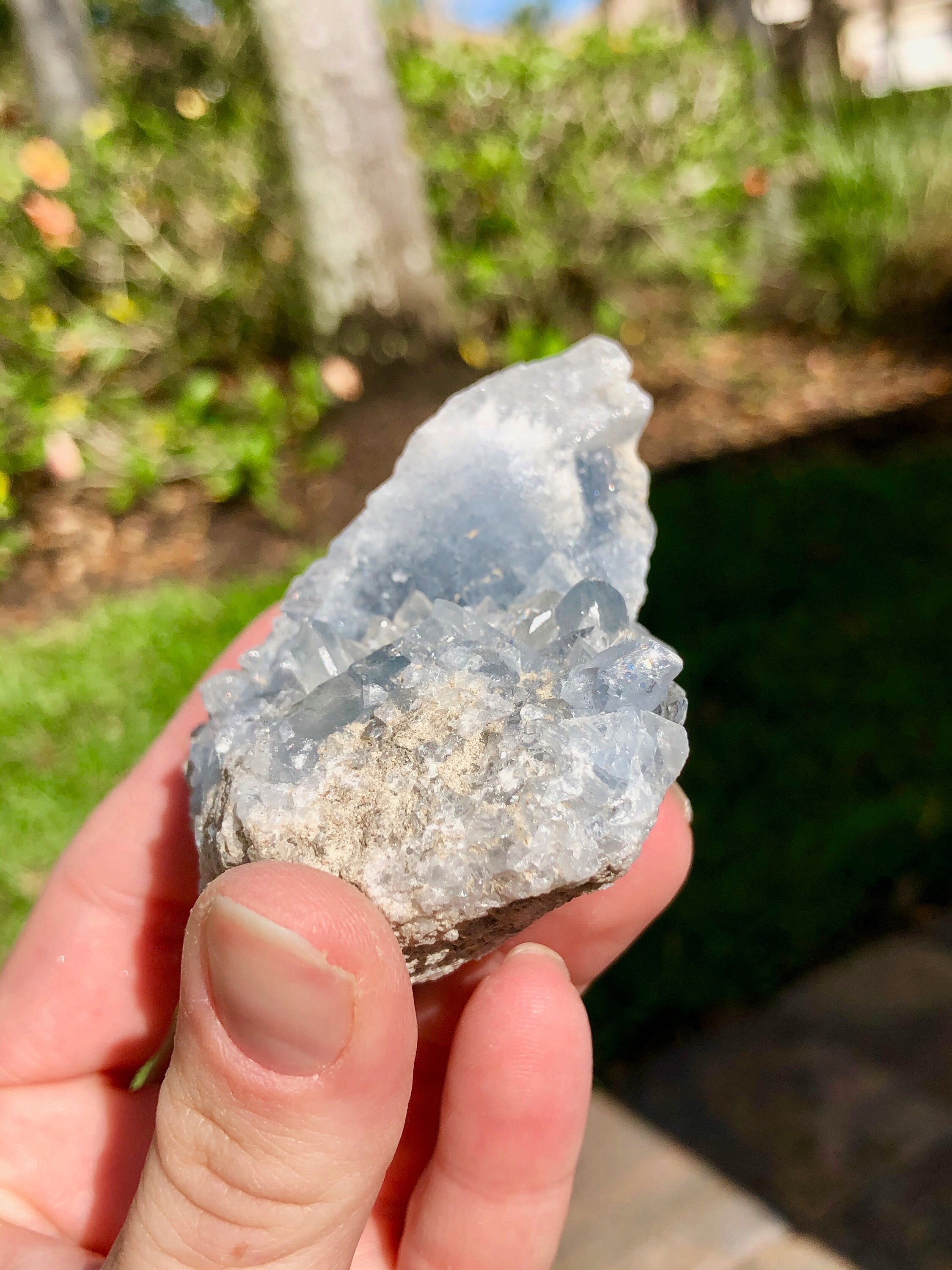 Natural Celestite Cluster Celestite Raw Celestite Blue | Etsy