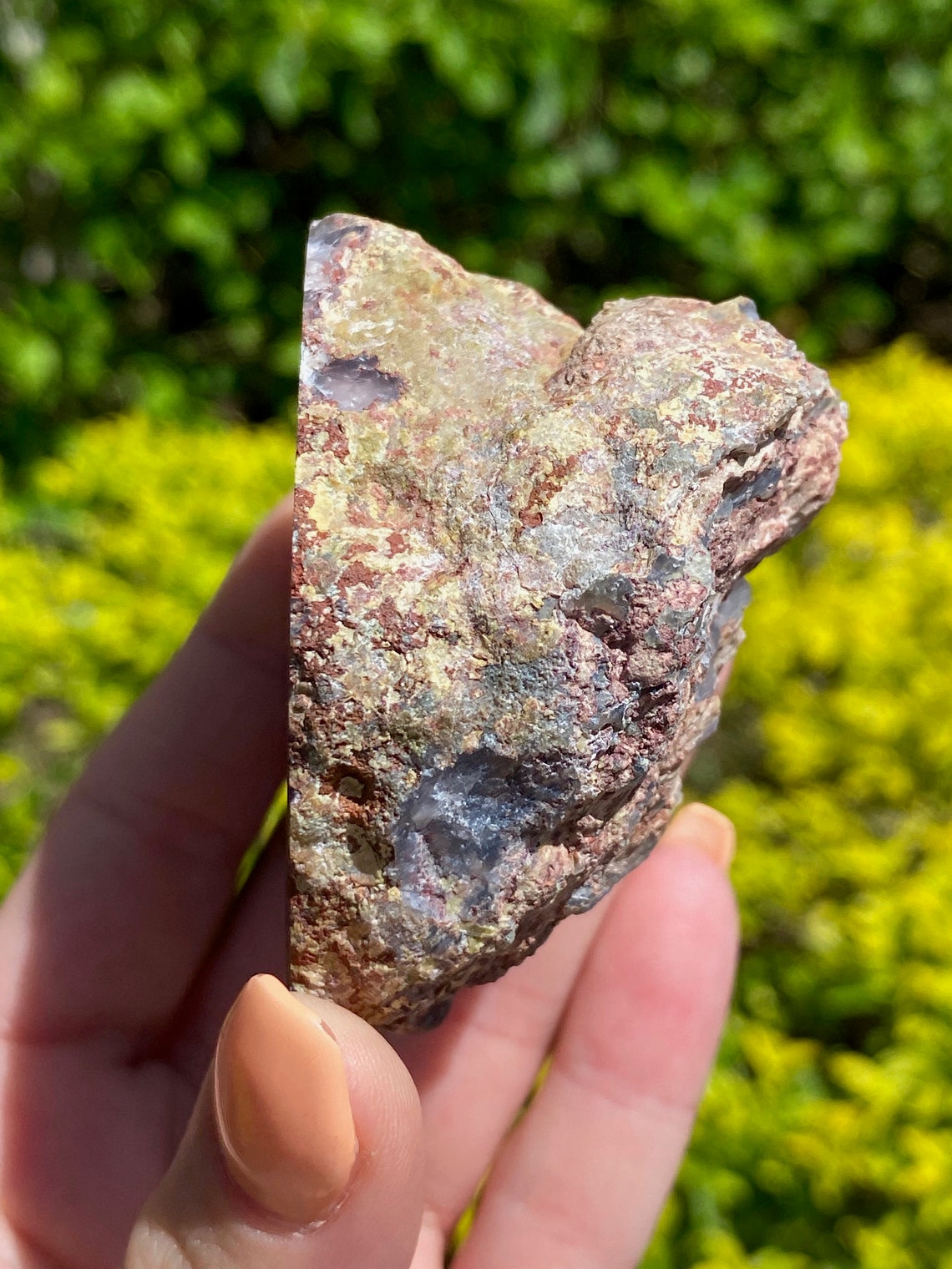 Rare All Natural Pink Laguna Agate Geode From Chihuahua Mexica - Etsy