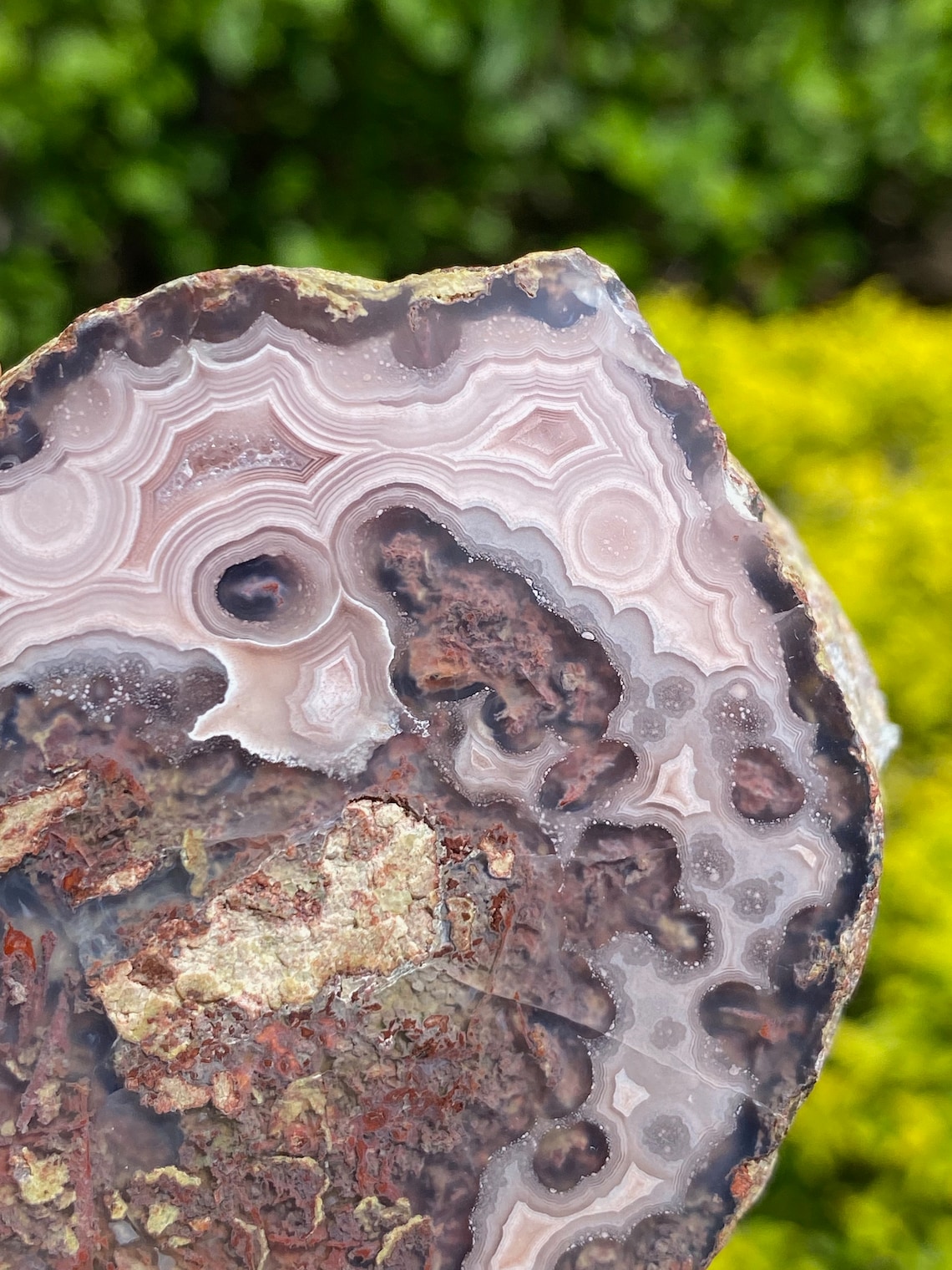 Rare All Natural Pink Laguna Agate Geode From Chihuahua Mexica - Etsy