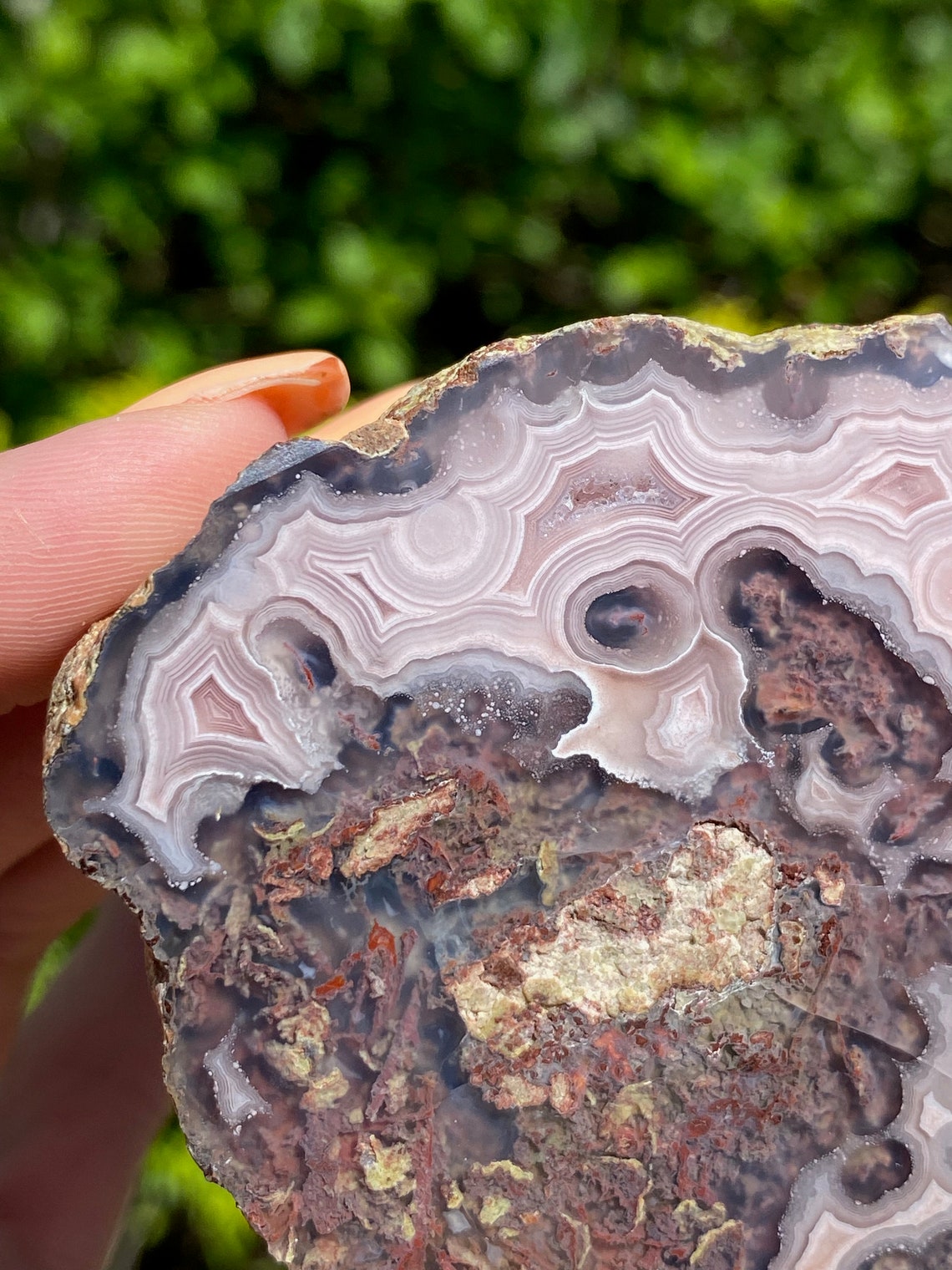 Rare All Natural Pink Laguna Agate Geode From Chihuahua Mexica - Etsy