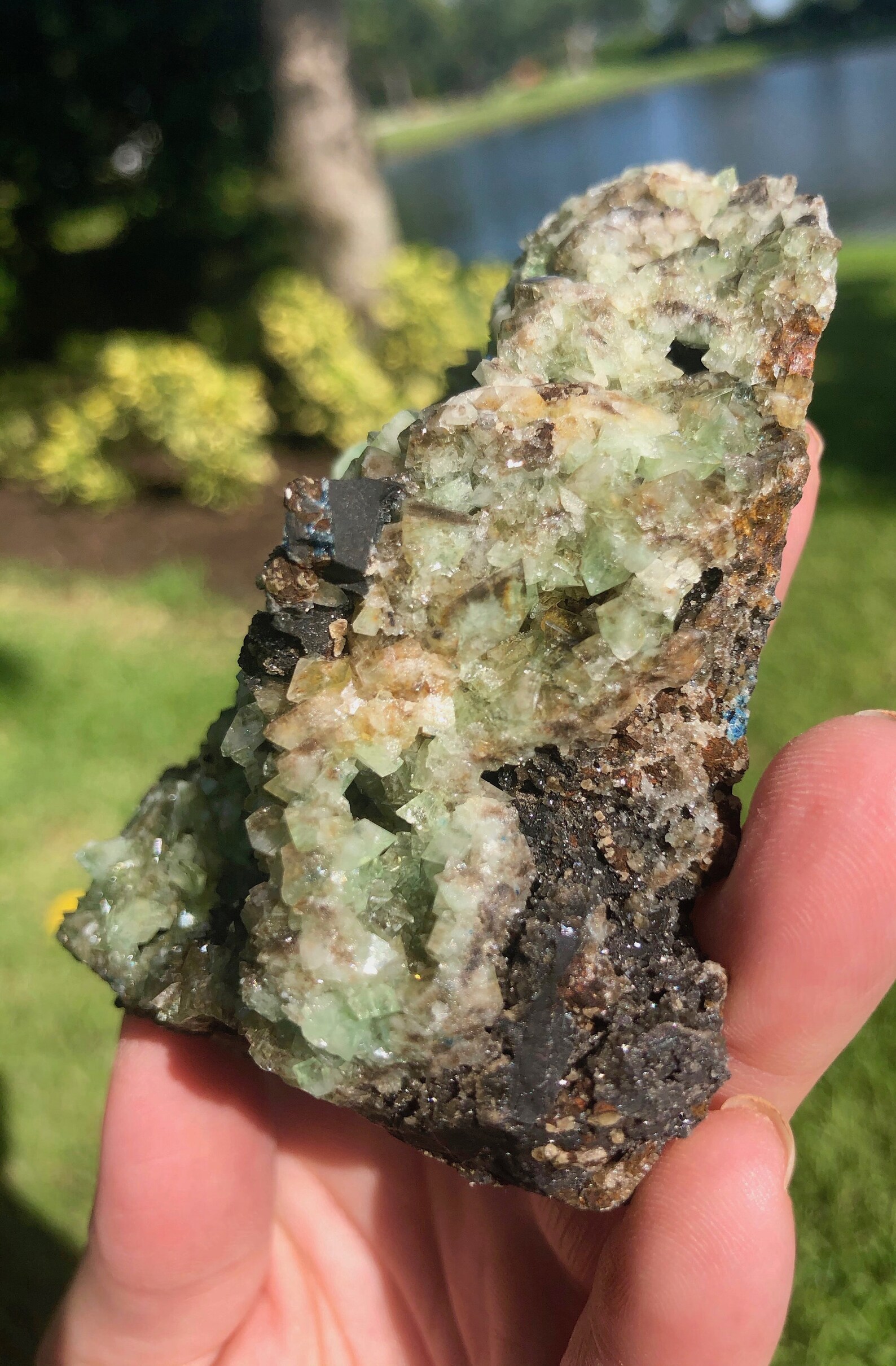 Rare Augelite W/ Lazulite From Rapid Creek, Yukon, Canada - Etsy