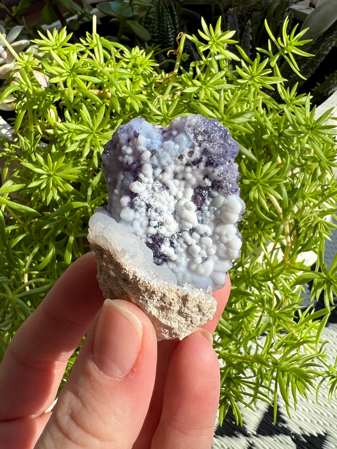 Rare Spirit Flower Geodes With Quartz, Fluorite and Chalcedony From San ...