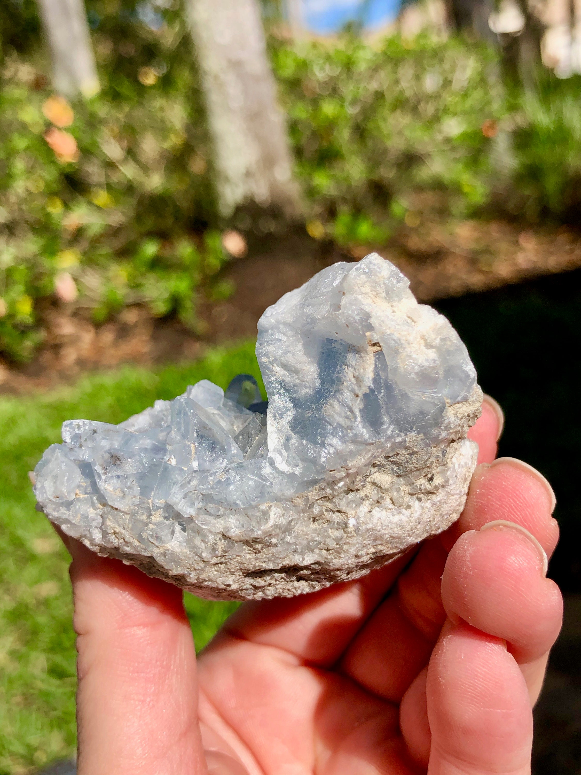 Natural Celestite Cluster Celestite Raw Celestite Blue | Etsy