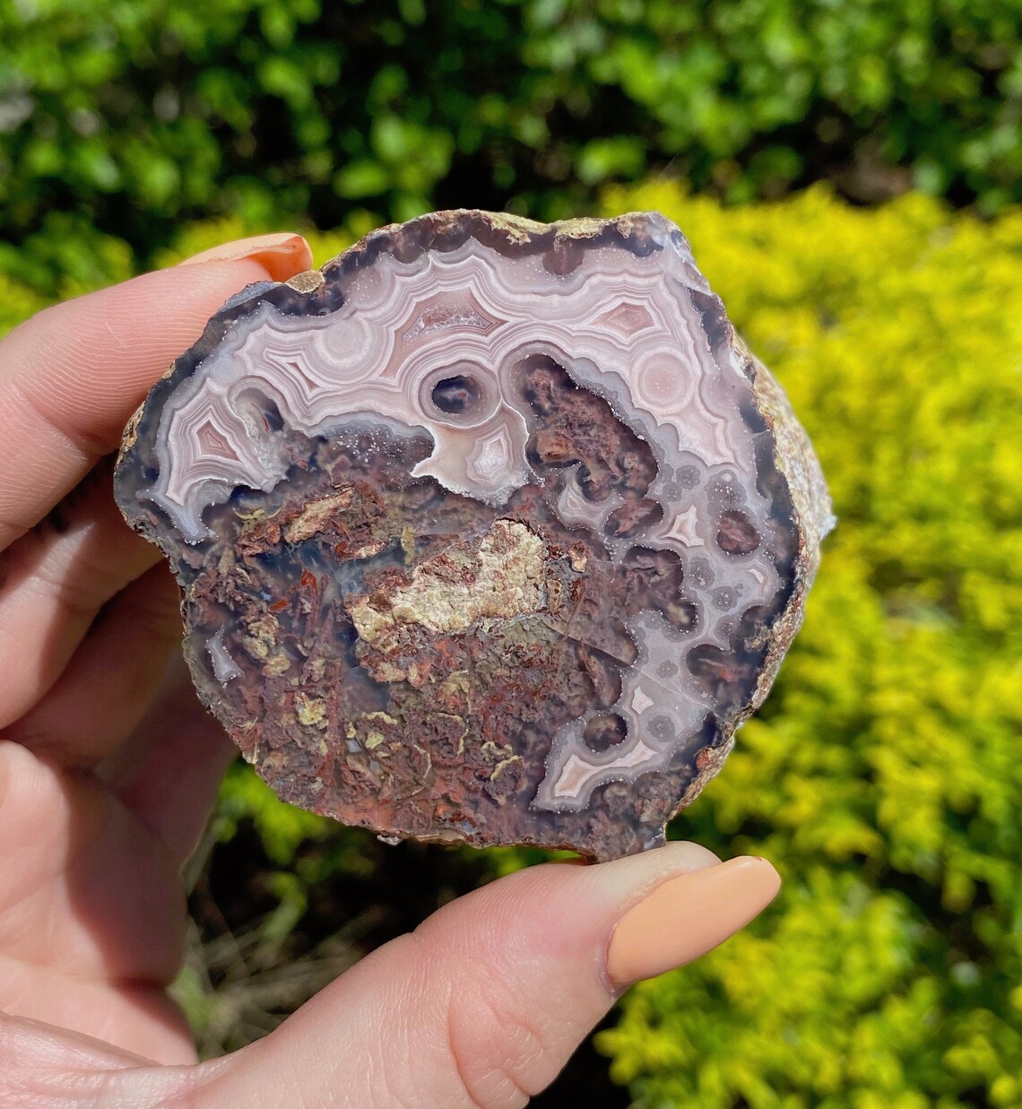 Rare All Natural Pink Laguna Agate Geode From Chihuahua Mexica - Etsy