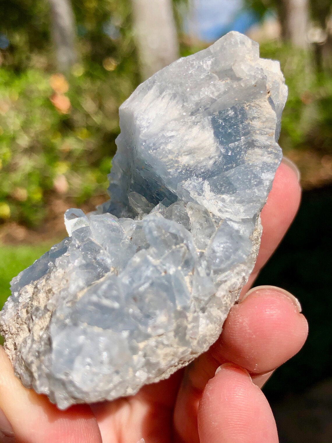 Natural Celestite Cluster Celestite Raw Celestite Blue | Etsy