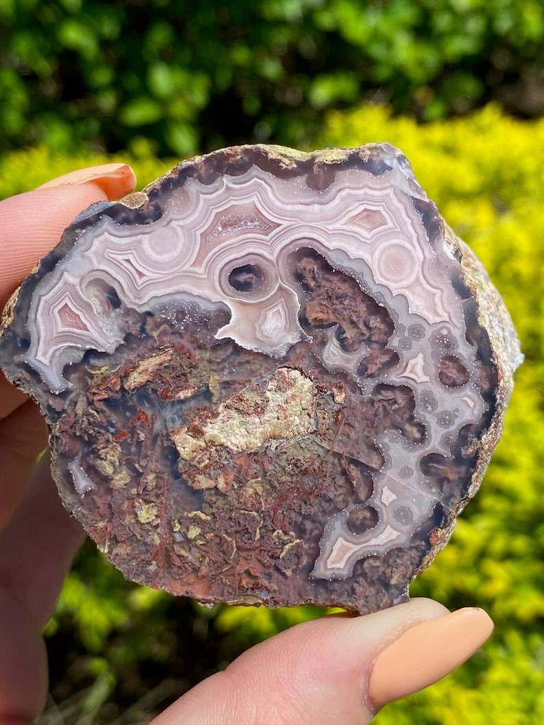 Rare All Natural Pink Laguna Agate Geode From Chihuahua Mexica - Etsy