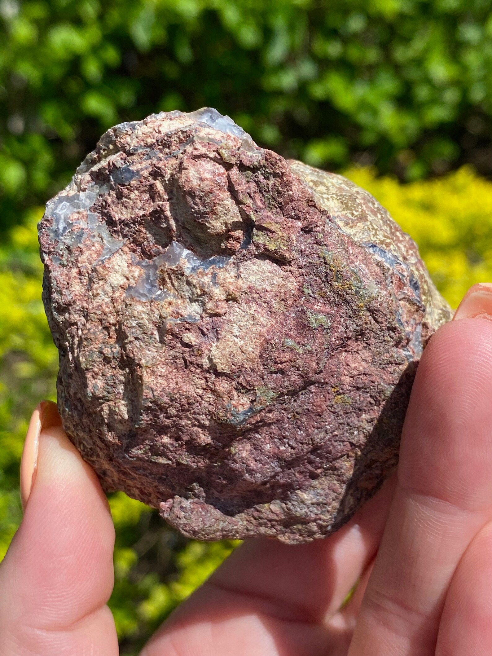 Rare All Natural Pink Laguna Agate Geode From Chihuahua Mexica - Etsy