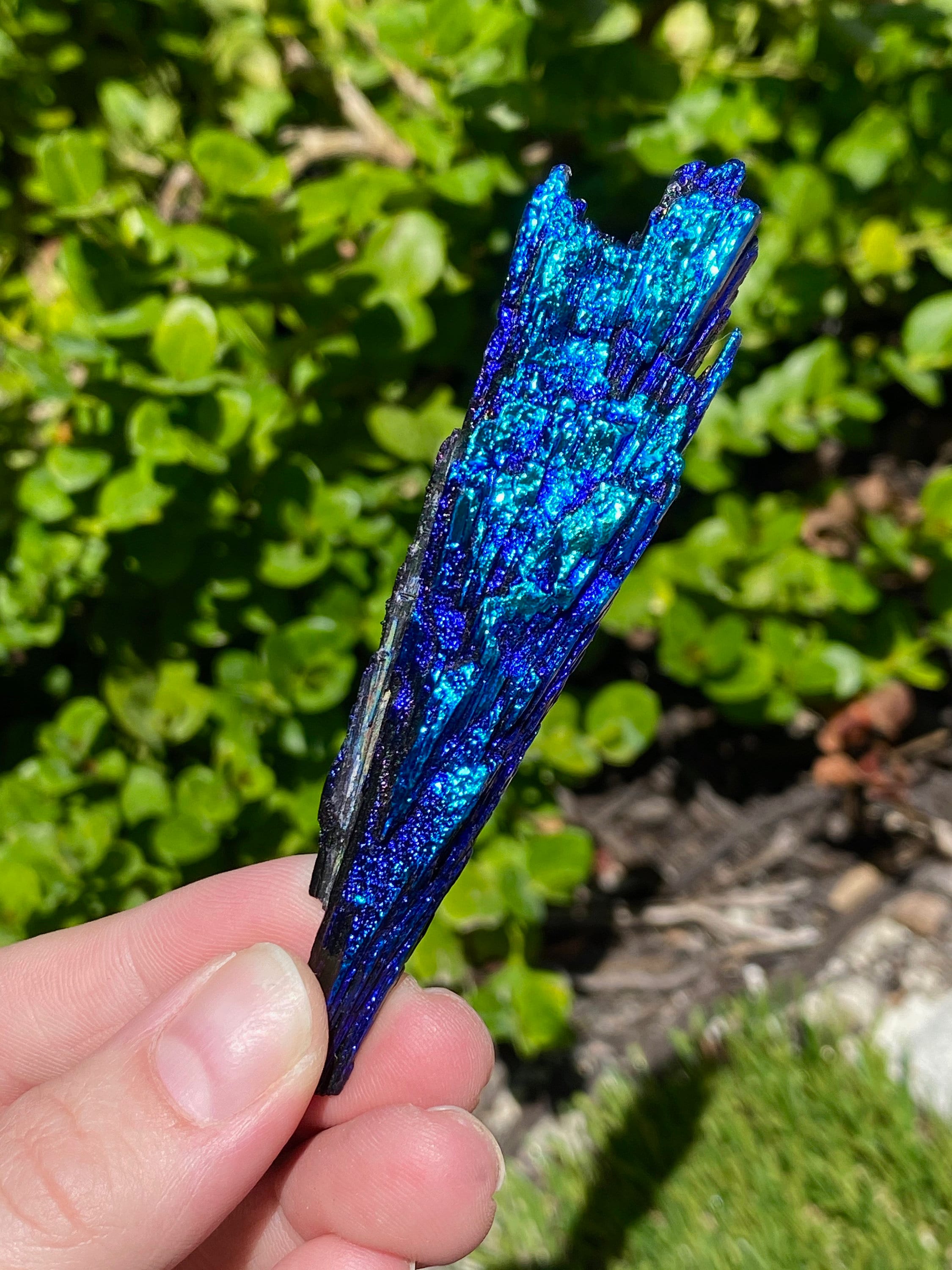 Titanium Aura Black Kyanite Crystal | Etsy