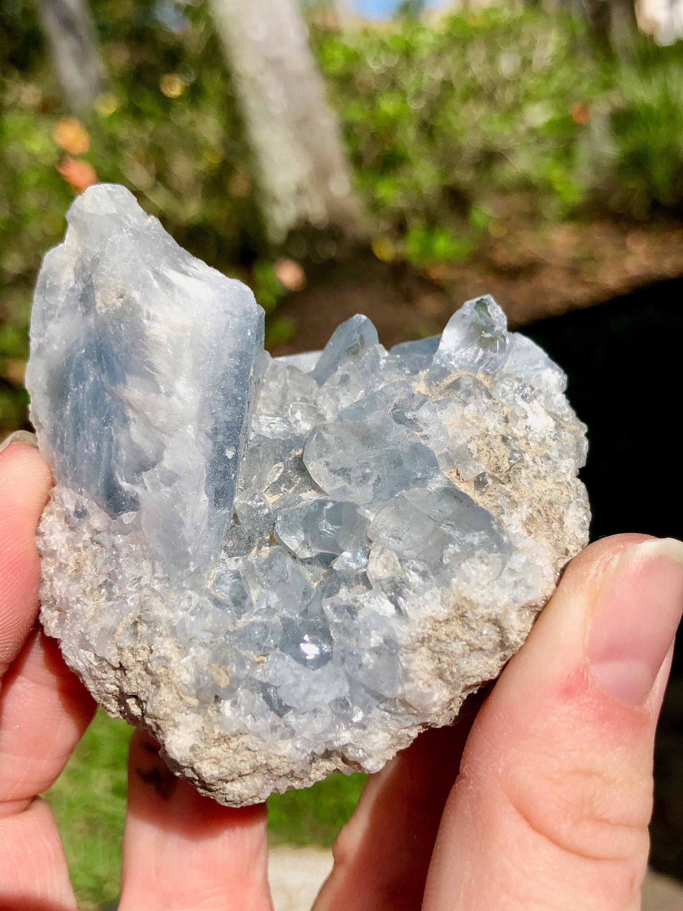 Natural Celestite Cluster Celestite Raw Celestite Blue | Etsy