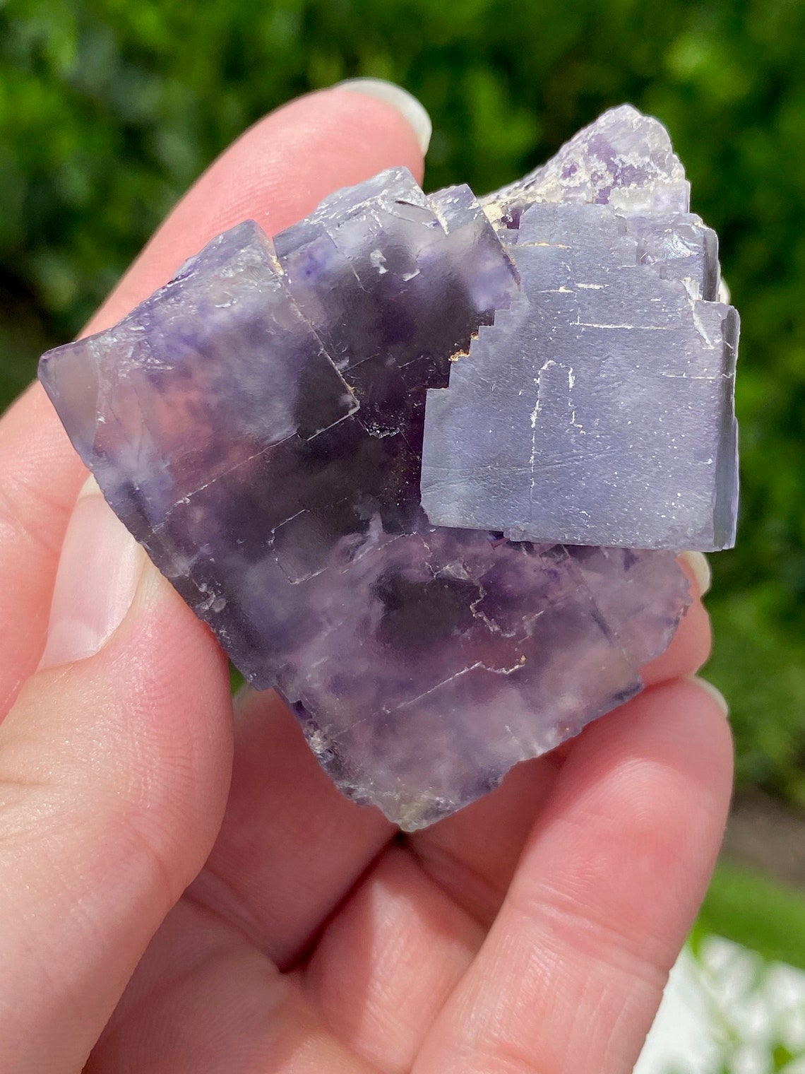 Purple Phantom Cubic Fluorite Purple Fluorite Mineral Purple | Etsy