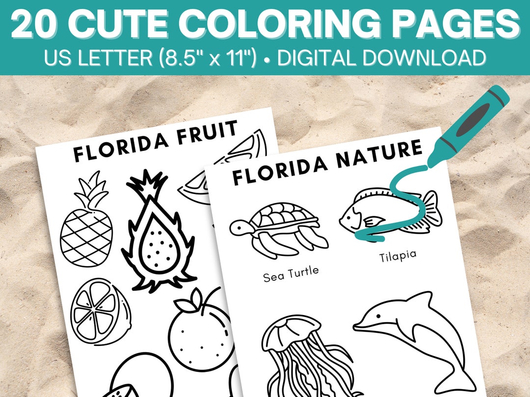 Páginas para colorear imprimibles de Florida para niños / 20 páginas ...