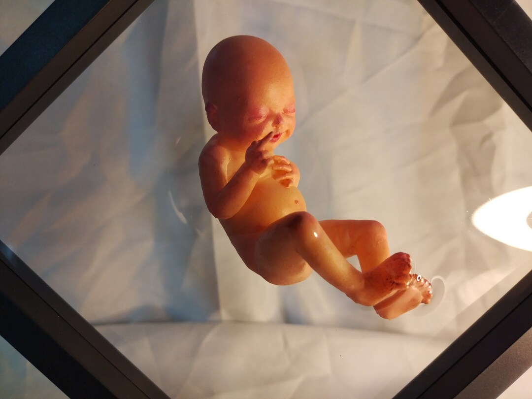 Baby Middle Finger - Etsy