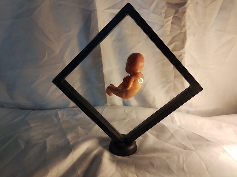 Baby Middle Finger - Etsy