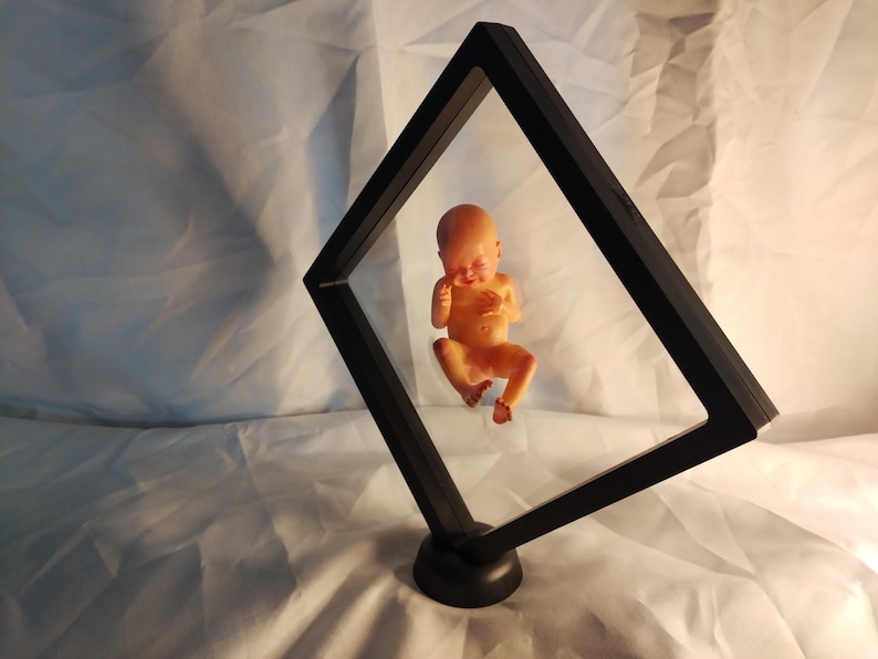 Baby Middle Finger - Etsy