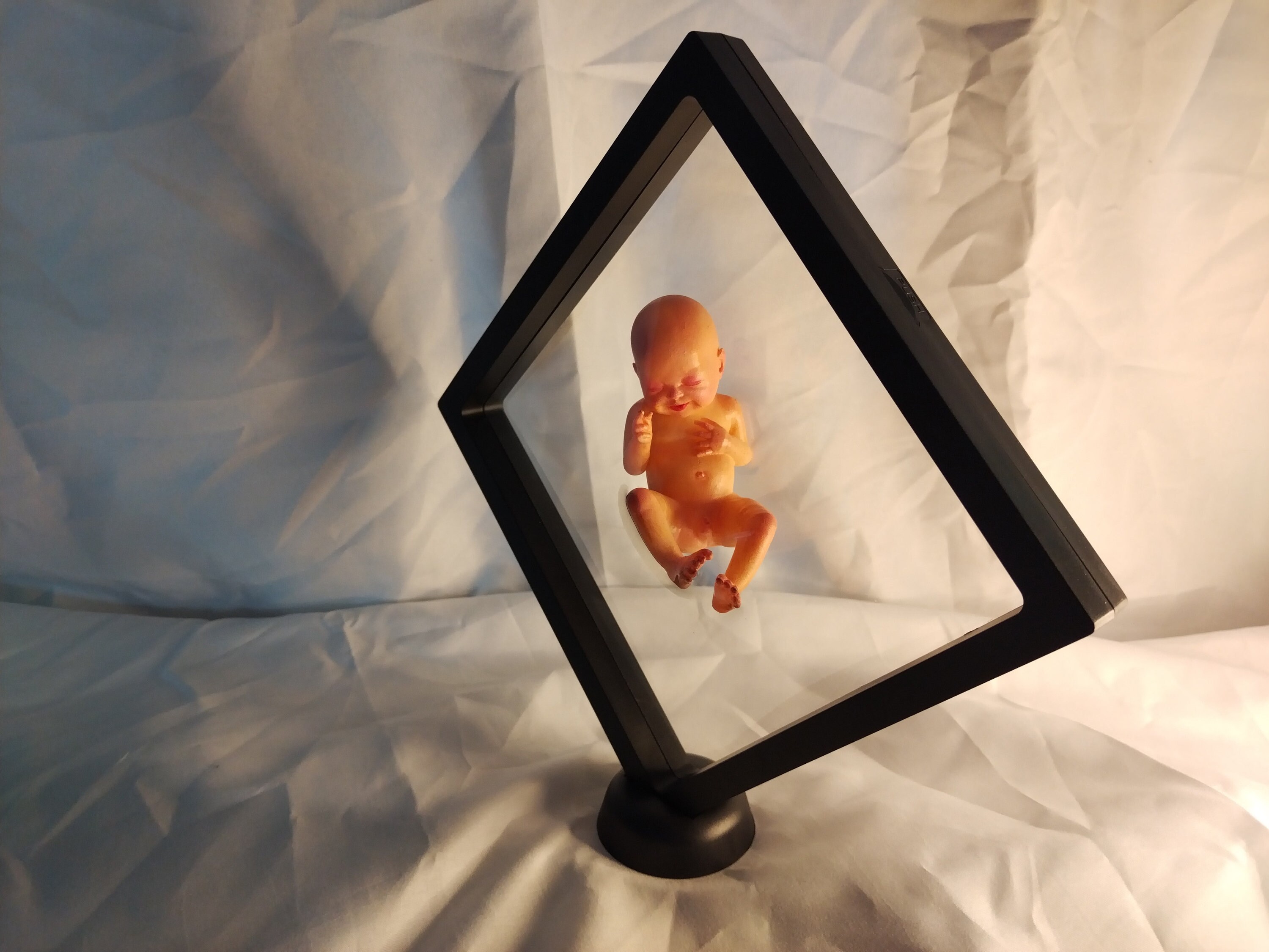 Baby Middle Finger - Etsy