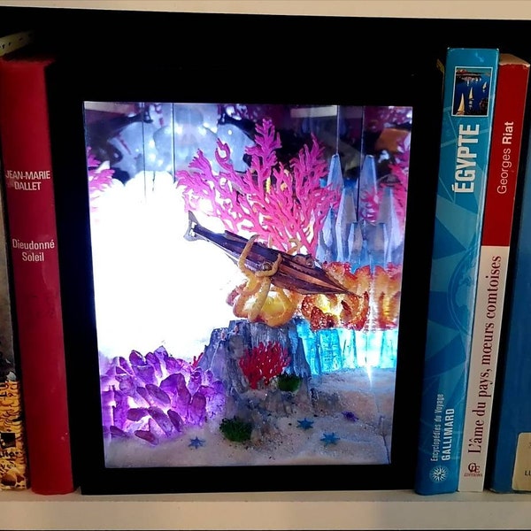 Nautilus Book Nook - Etsy
