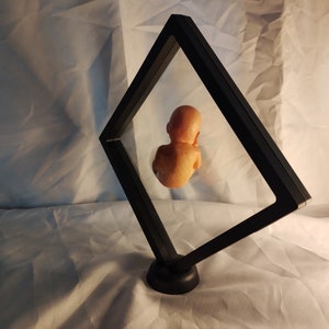 Baby Middle Finger - Etsy