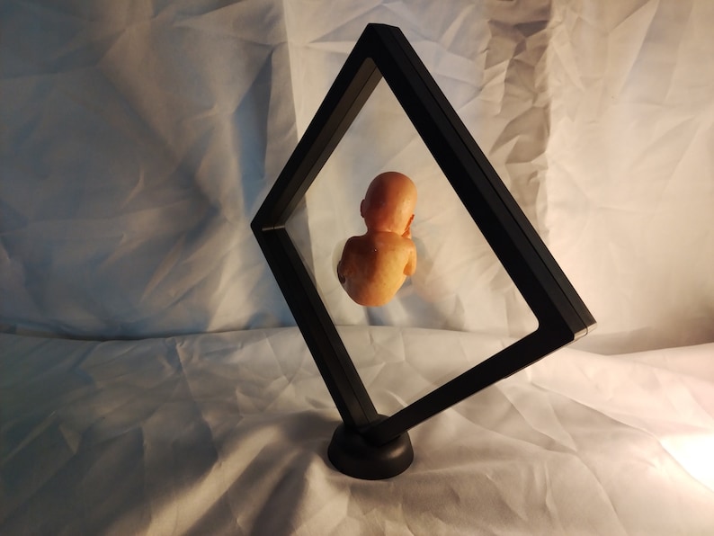 Baby Middle Finger - Etsy