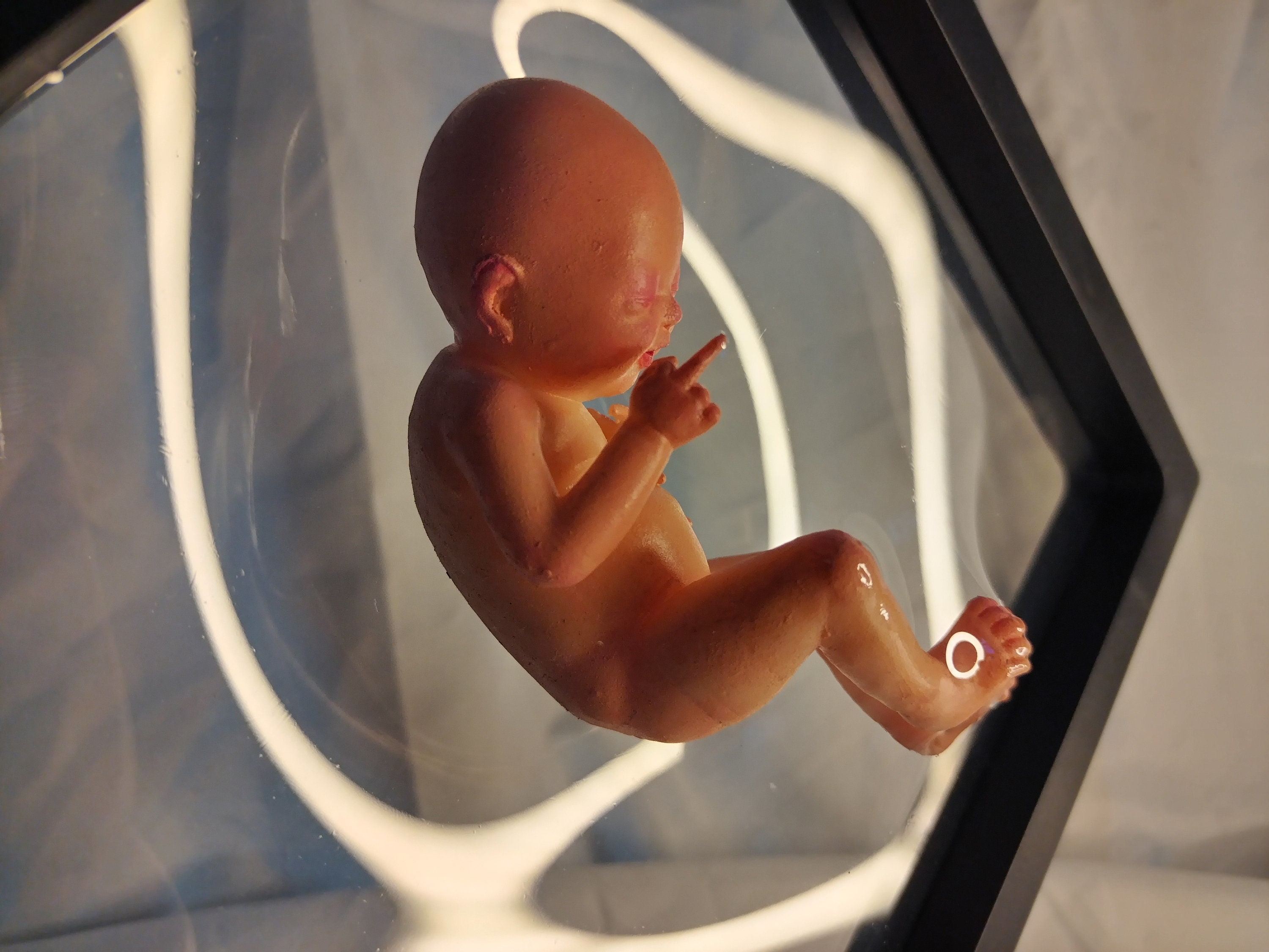 Baby Middle Finger - Etsy