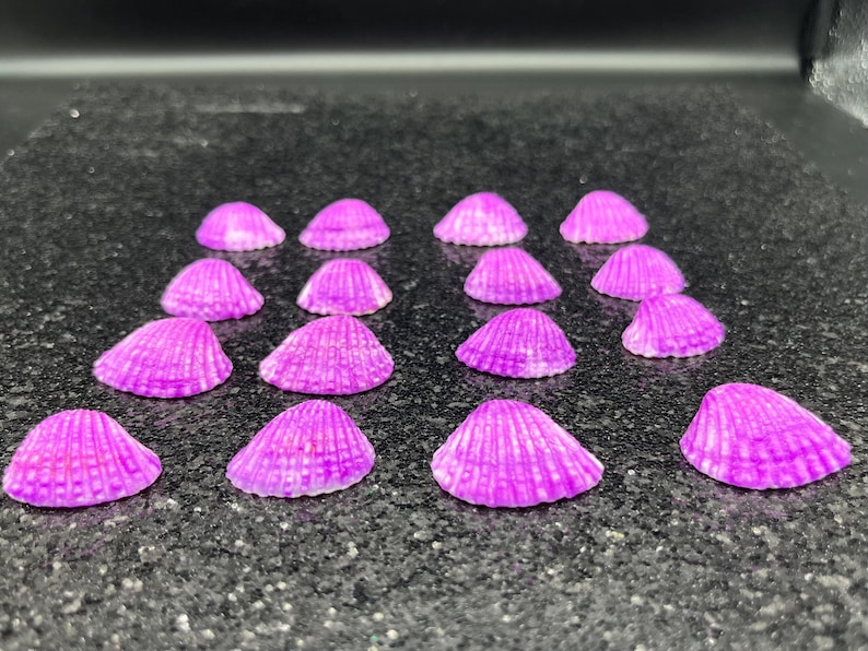 Ursulas Spell Collection Ursula, Glow N the Dark, Sea Witch, Seashell Charms, Purple Shell ...