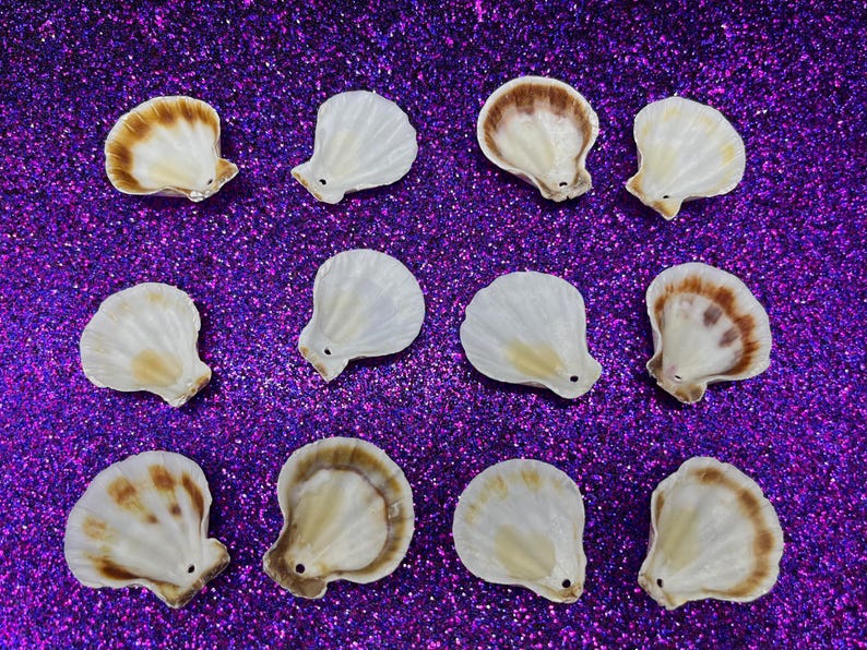 Emma Frost Collection || Emma Frost, X-men, Seashell Charms, White ...