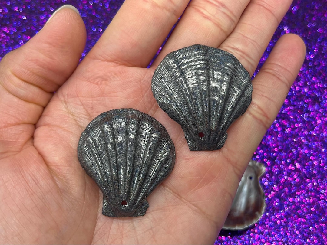 Ursula’s Spell Collection || Ursula, Sea Witch, Ursula Shell, Seashell ...