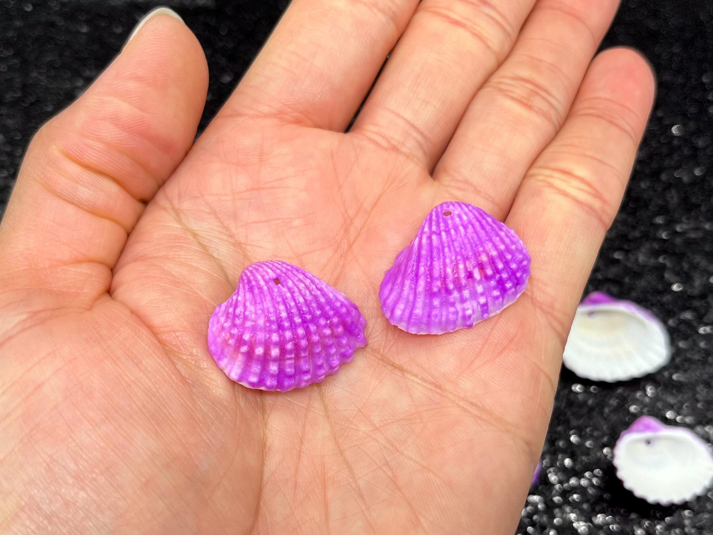 Ursulas Spell Collection Ursula, Glow N the Dark, Sea Witch, Seashell ...
