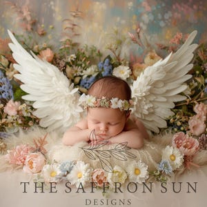 Newborn Digital Backdrop, Newborn Digital Background, White , Angel ...