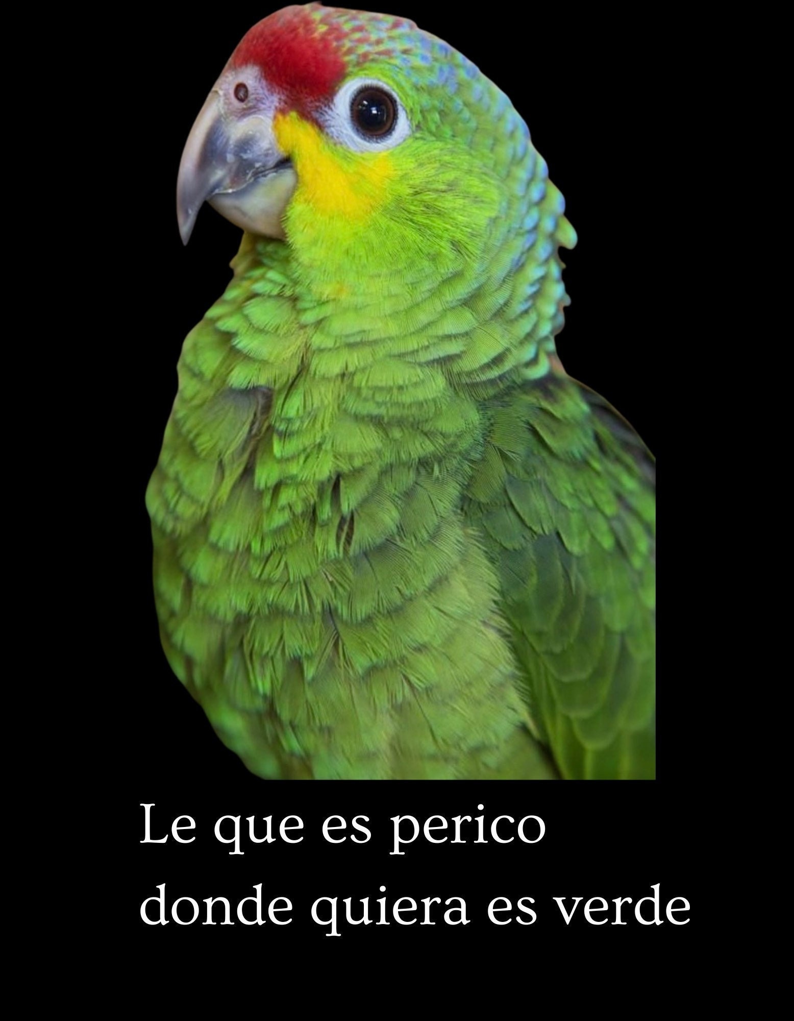 Gender Neutral: Le Que Es Perico Donde Quiera Es Verde - Etsy